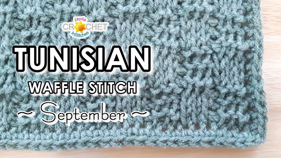 Tunisian Basket Weave Stitch Crochet PATTERN PDF September - Etsy