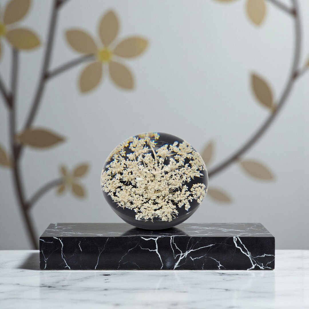 Vintage Retro Lucite Acrylic Paperweight With Real Queen Anne’s Lace ...