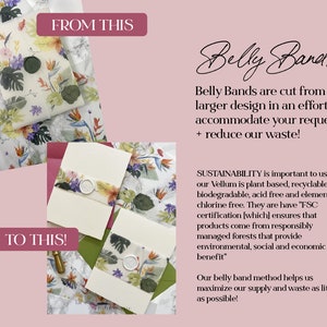 Tropical Vellum Belly Band, 3