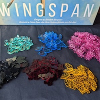 Wingspan Resource Organizer Magnetic and Stacking Wingspan Storage Box ...