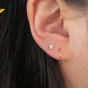 14K Solid Gold Shiny Flower Stud Earrings, Daisy Stud Yellow Gold ...