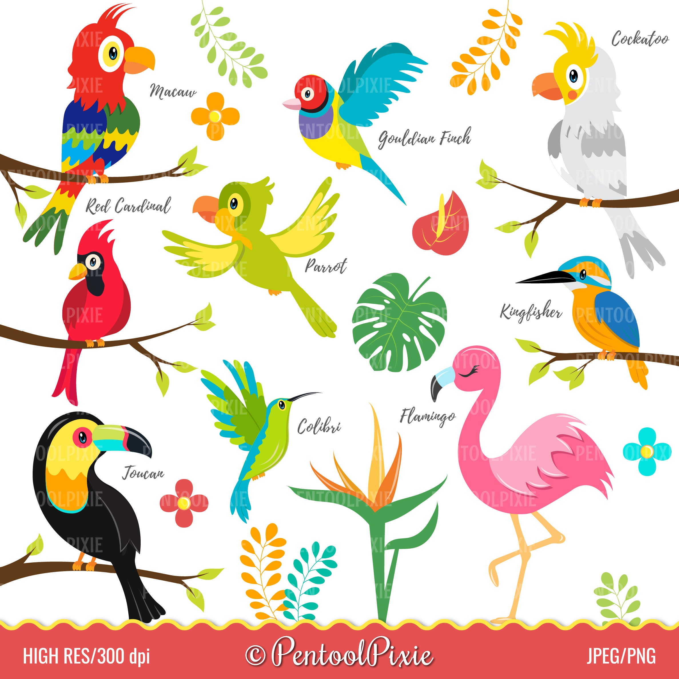 Jungle Birds Clip Art