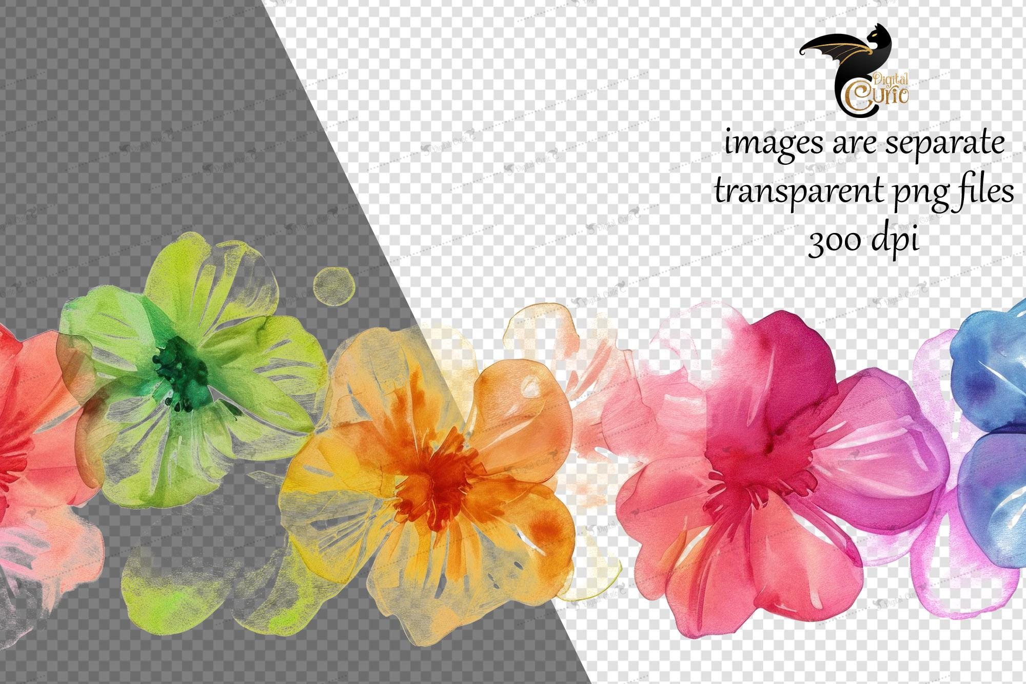 Seamless Watercolor Rainbow Borders - Digital Instant Download Clip Art ...
