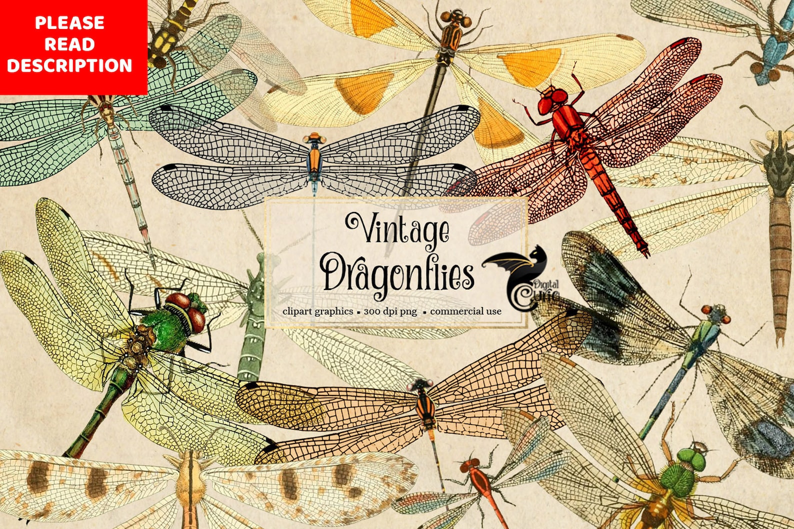 Vintage Dragonflies Vintage Dragonfly Clipart Antique - Etsy