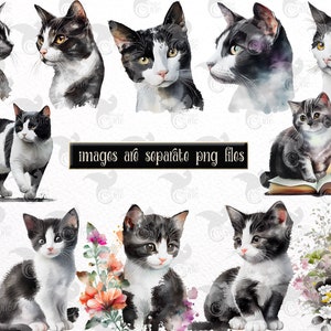 Watercolor Black and White Cats Clipart - Cute Floral Cats and Kittens ...