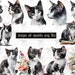 Watercolor Black and White Cats Clipart - Cute Floral Cats and Kittens ...