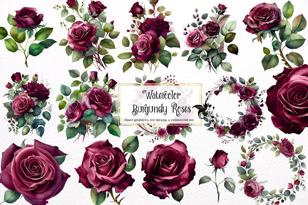 Watercolor Burgundy Roses Clipart – Floral PNG, Commercial Use (digital ...