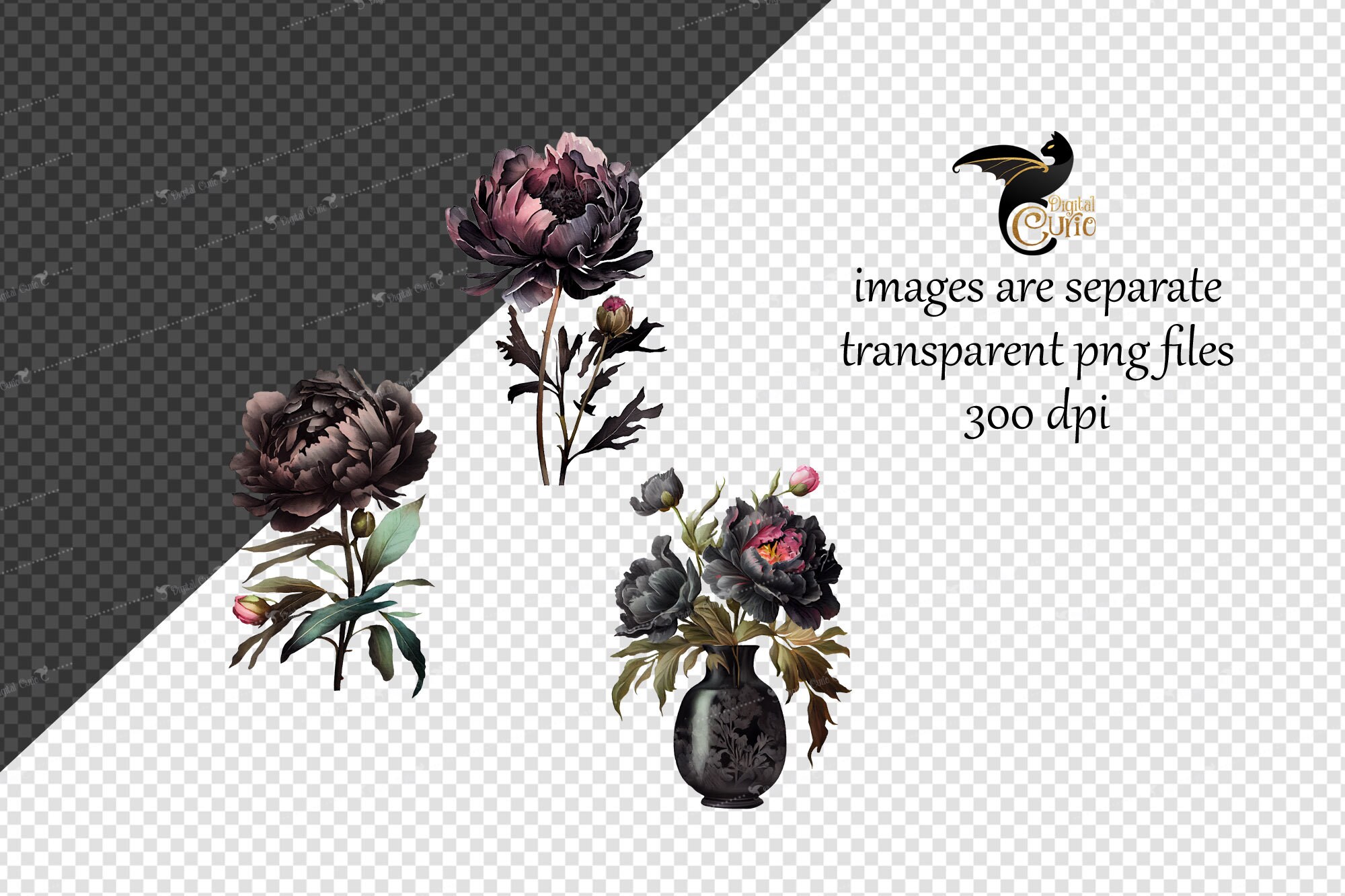 Watercolor Black Peony Clipart - Peonies in PNG Format Instant Download ...