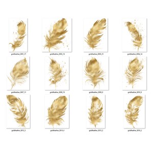 Gold Foil Feathers Clipart, Digital Feather Clipart Illustrations, PNG ...