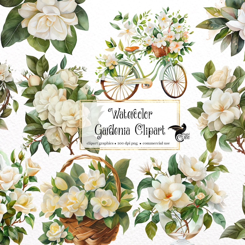 Gardenia Print - Etsy