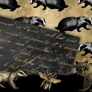 Honey Hunters Digital Paper, Black and Gold Badger Digital Paper ...