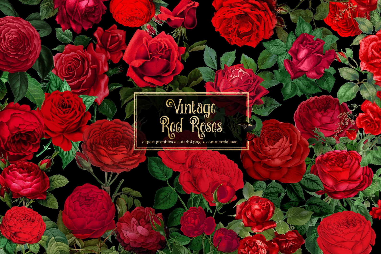 Vintage Red Roses Clipart, Antique Rose Illustrations PNG Format ...