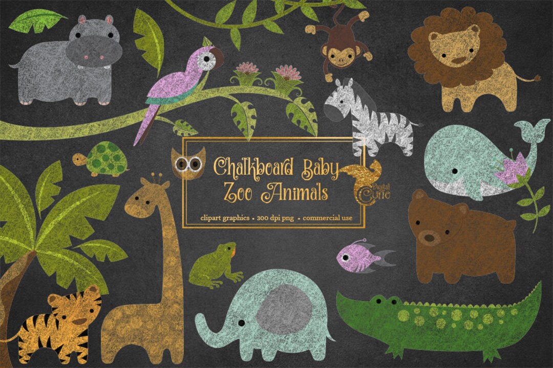Chalkboard Baby Zoo Animals Clipart Set - Jungle Safari Clipart, Chalk ...