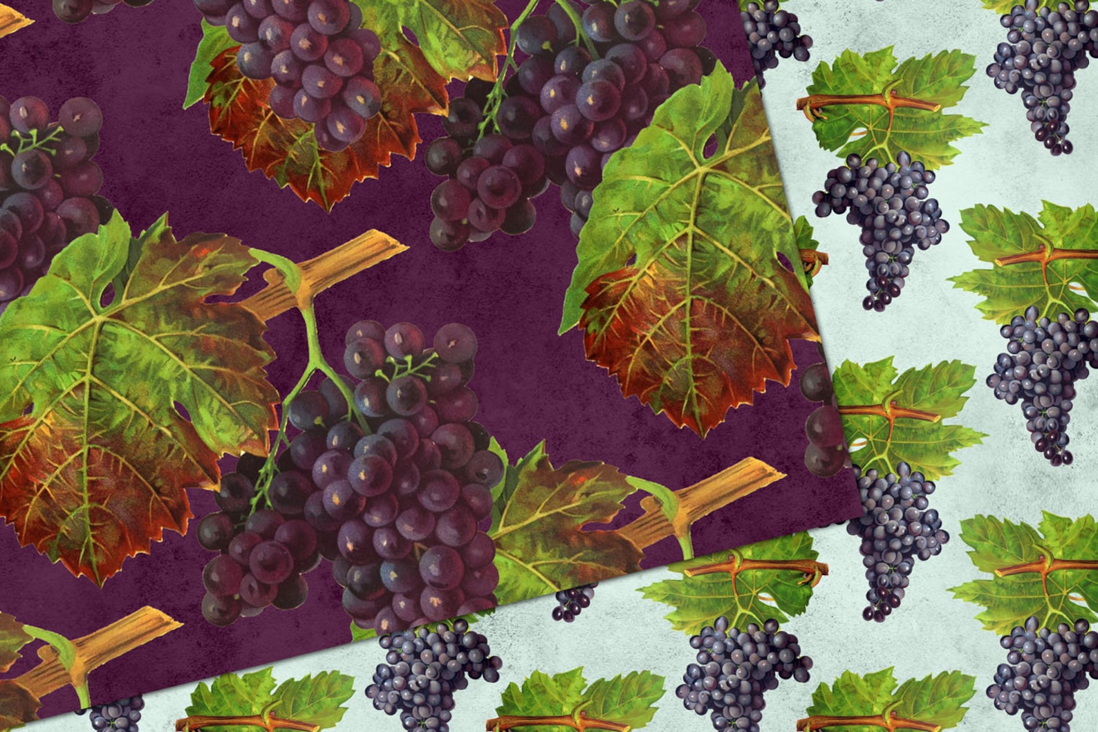 Vintage Grapes Digital Paper Seamless Antique Wine Grape - Etsy