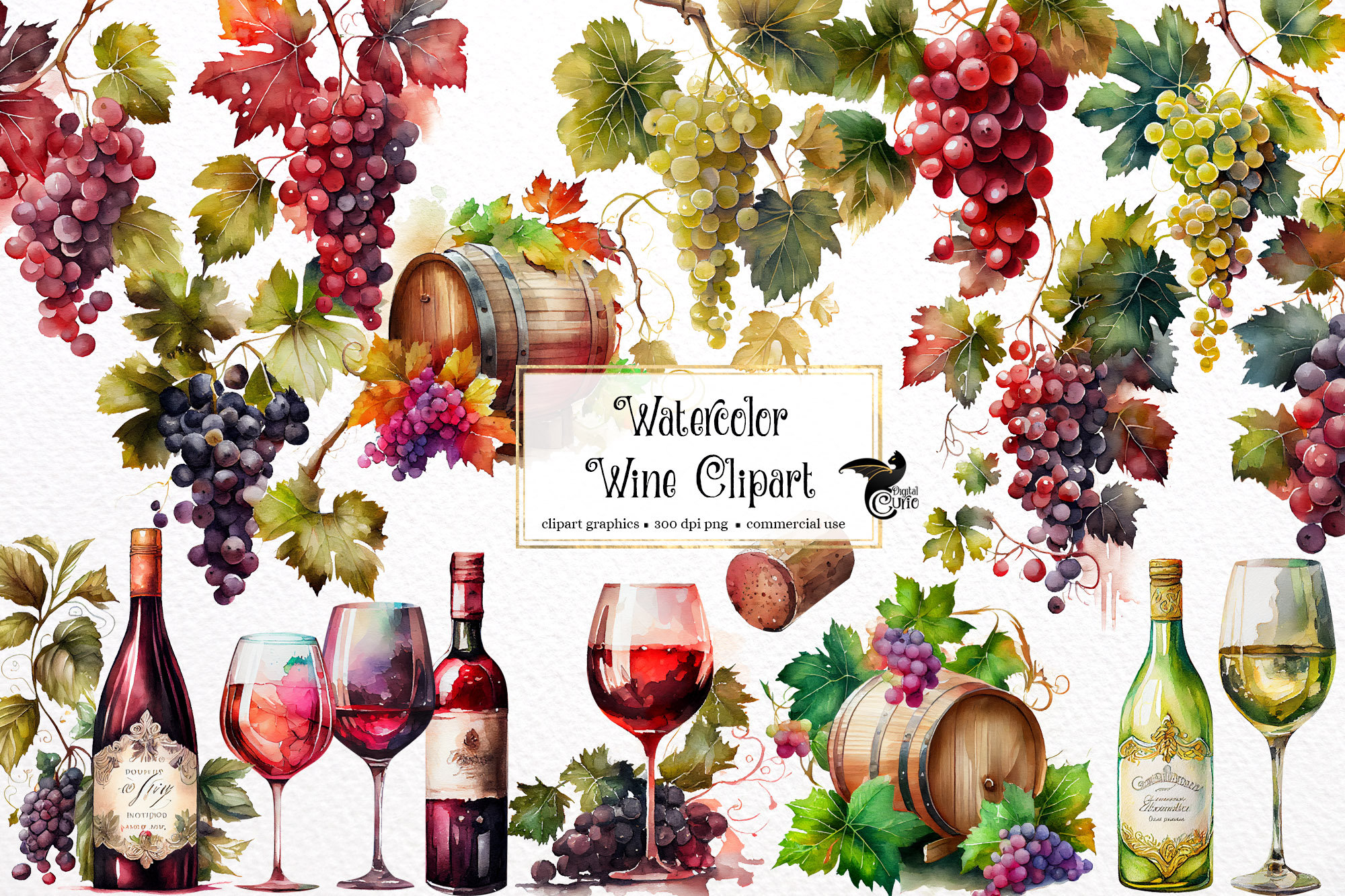 Watercolor Wine Clipart Digital Png Wine Grapes Red and - Etsy UK