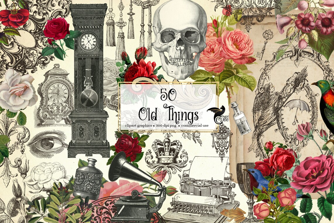 50 Old Things Clip Art Vintage Antique Objects and Overlays - Etsy Canada