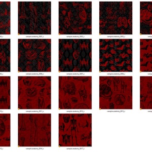 Vampire Anatomy Digital Paper, Seamless Anatomical Illustrations ...