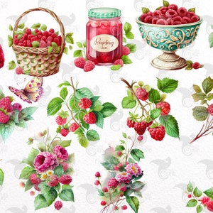 Watercolor Raspberry Clipart - Digital Png Raspberry Graphics for ...