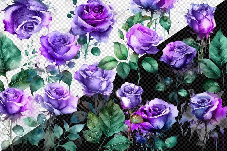 Purple Watercolor Roses Clipart Flowers Roses and Leaves in - Etsy