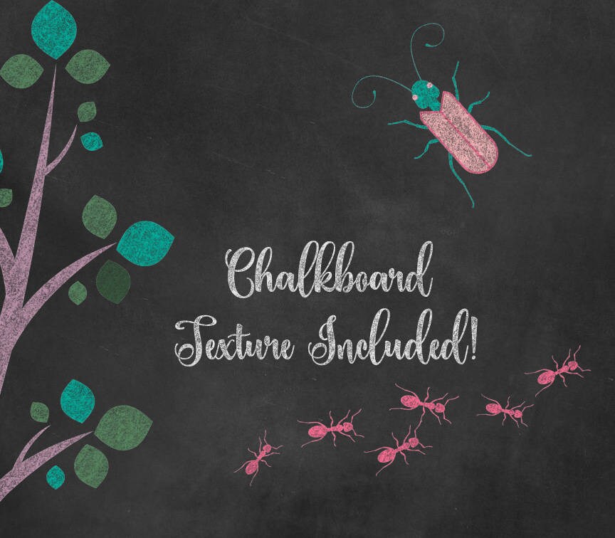 Chalkboard Cute Bugs Clip Art Girly Bugs Pink Purple and | Etsy UK