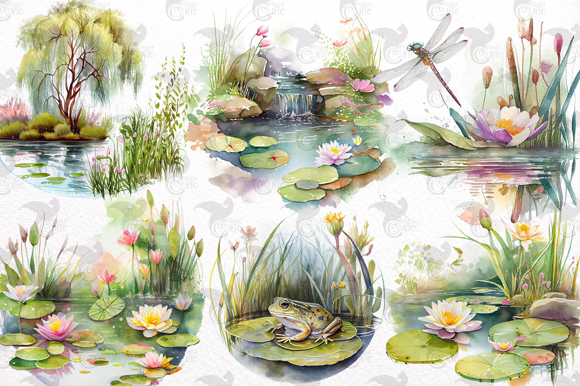 Watercolor Lily Pond Clipart Springtime Cute Lily Pad and - Etsy Canada