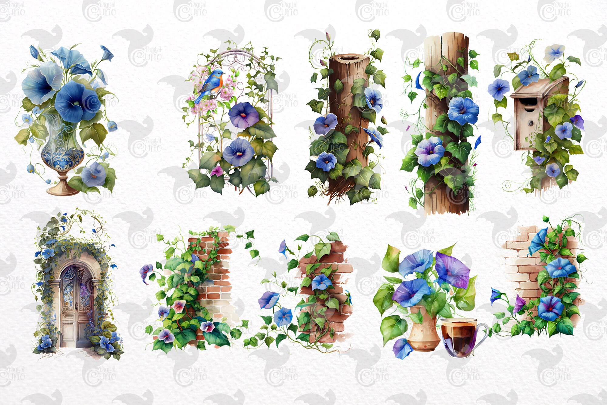 Watercolor Morning Glory Scenes Clipart - Floral Watercolor PNG Format ...