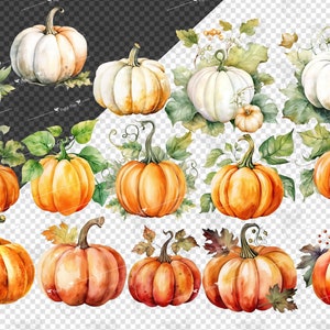 Watercolor Pumpkin Clipart - Autumn Watercolor in PNG Format Instant ...