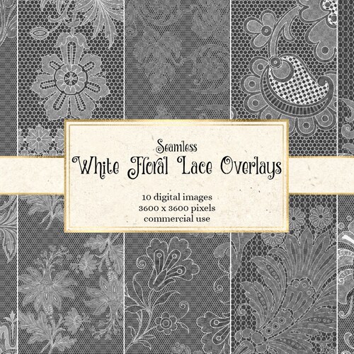 White Floral Lace Overlays Seamless Shabby Lace Patterns in - Etsy
