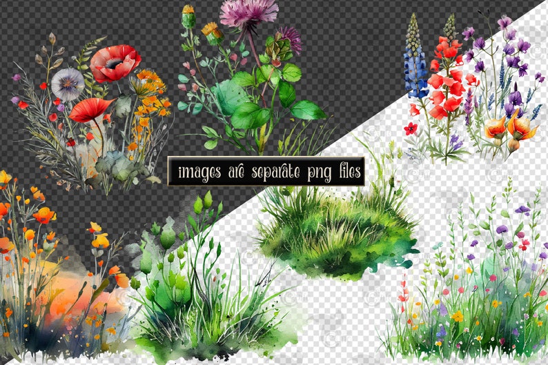 Watercolor Meadow Flowers Clipart - Spring Wildflower Floral PNG Format ...