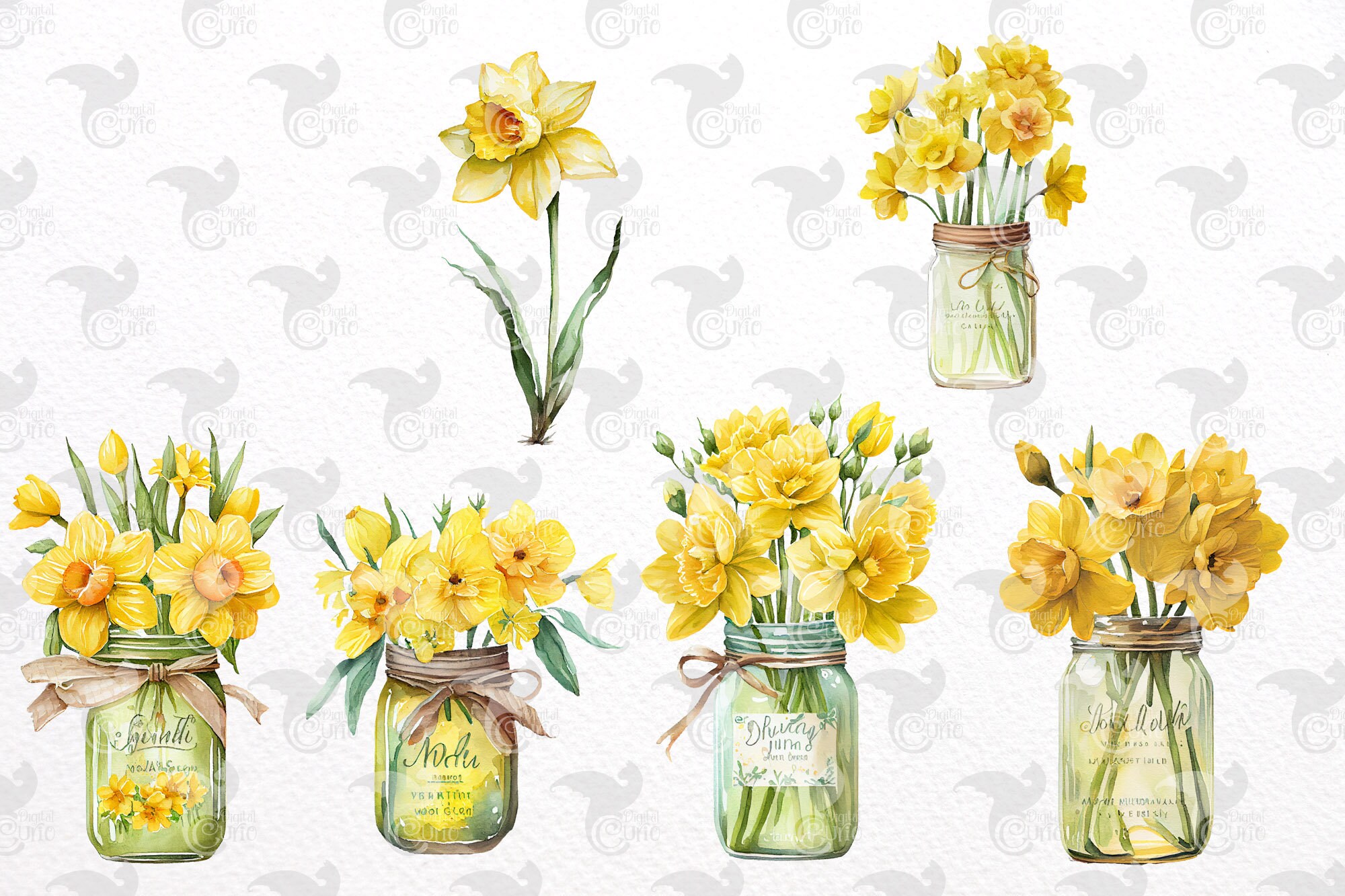 Watercolor Daffodil Clipart - Spring Flowers in PNG Format Instant ...