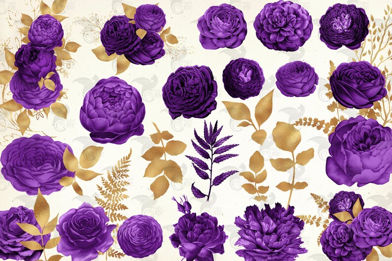 Purple & Gold Rose Clipart – Floral Graphics, Commercial Use (PNG) - Etsy