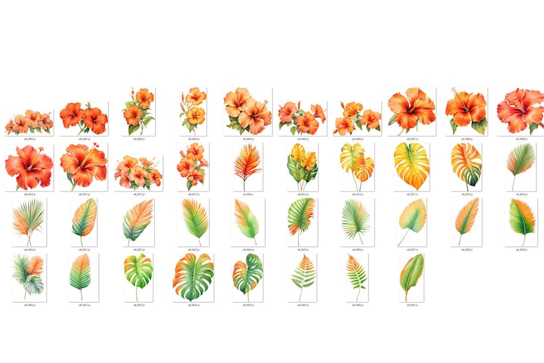 Orange Tropical Floral Clipart – Hibiscus, Monstera (PNG Format) - Etsy