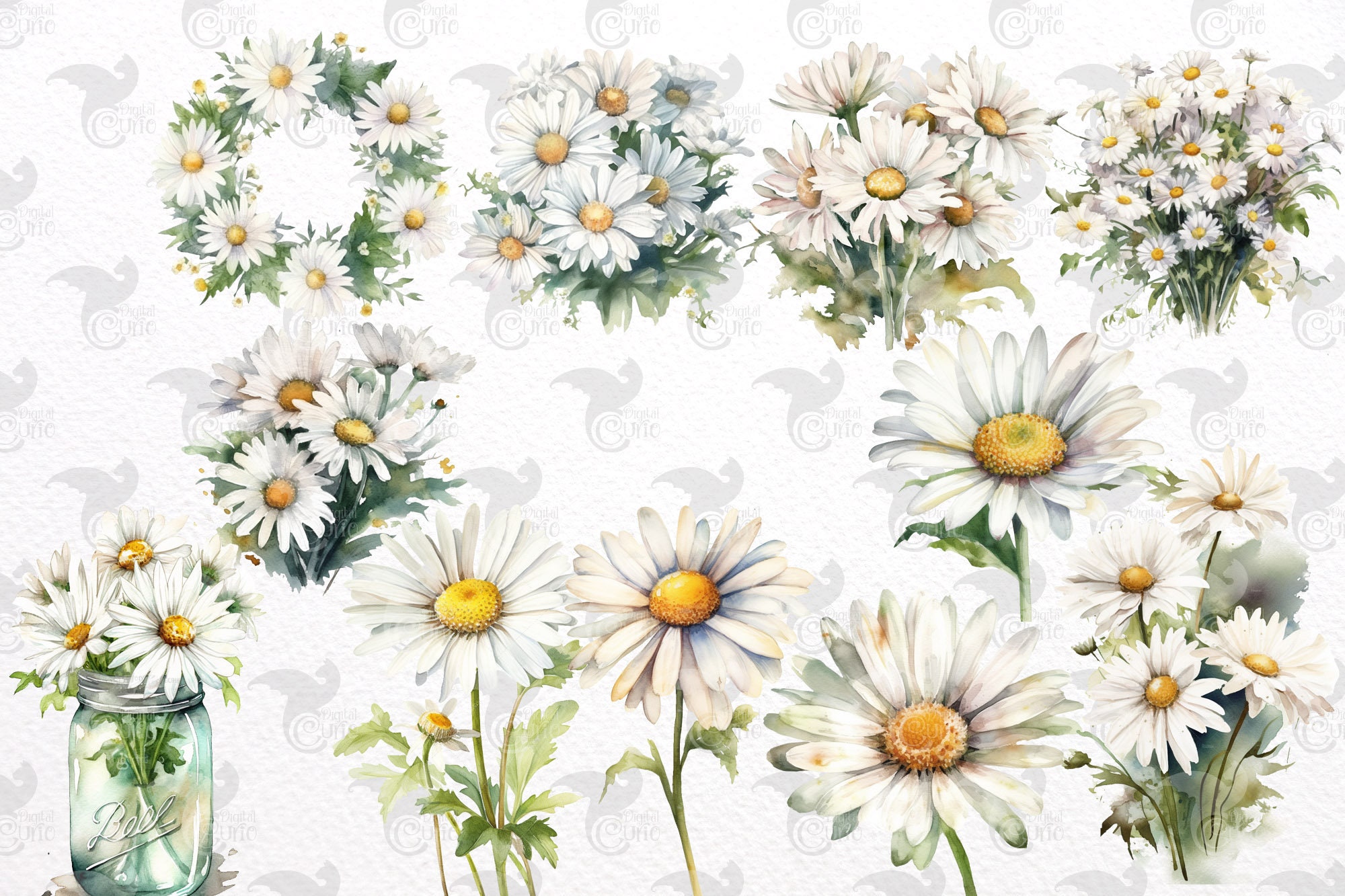 Watercolor Daisies Clipart - Spring Floral PNG Format Instant Download ...