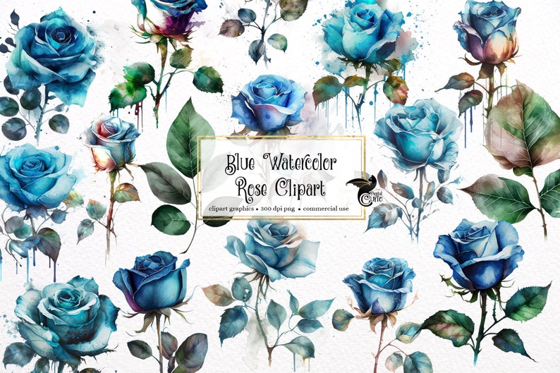 Blue Watercolor Roses Clipart – Floral PNG Graphics (digital Download ...