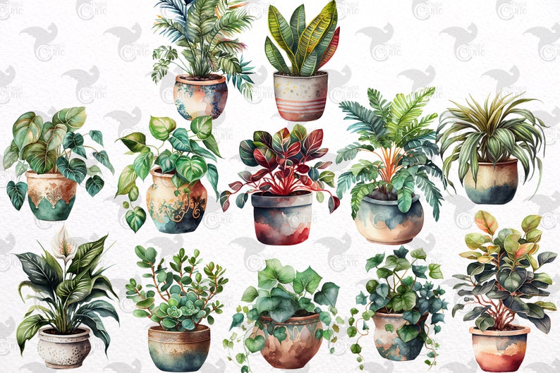 Watercolor Potted Plants Clipart House Plant PNG Format - Etsy