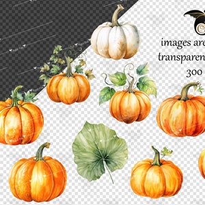 Watercolor Pumpkin Clipart - Autumn Watercolor in PNG Format Instant ...