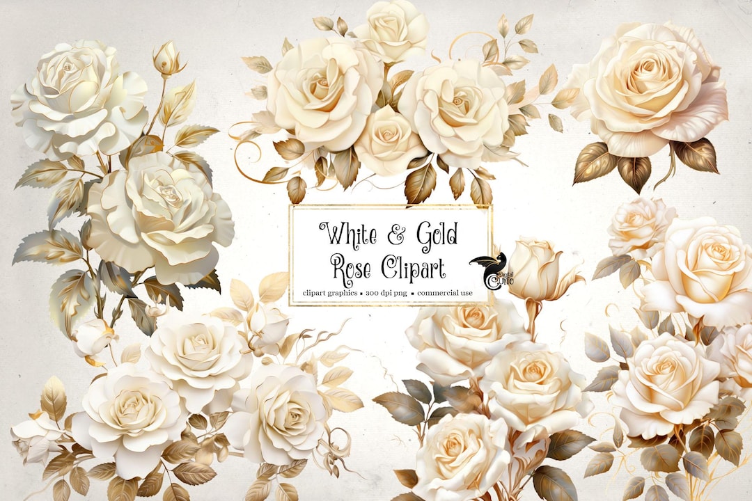 White and Gold Rose Clip Art, Floral PNG Embellishments (digital ...