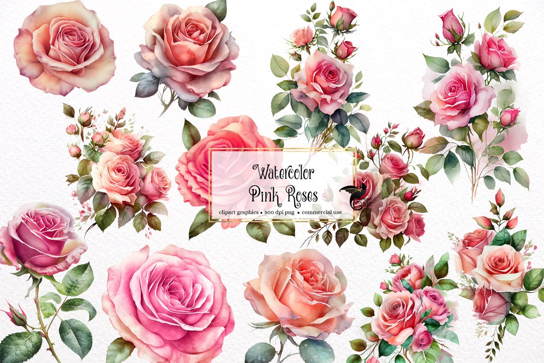 Pink Rose Watercolor Clipart – Floral PNG Graphics (commercial Use) - Etsy