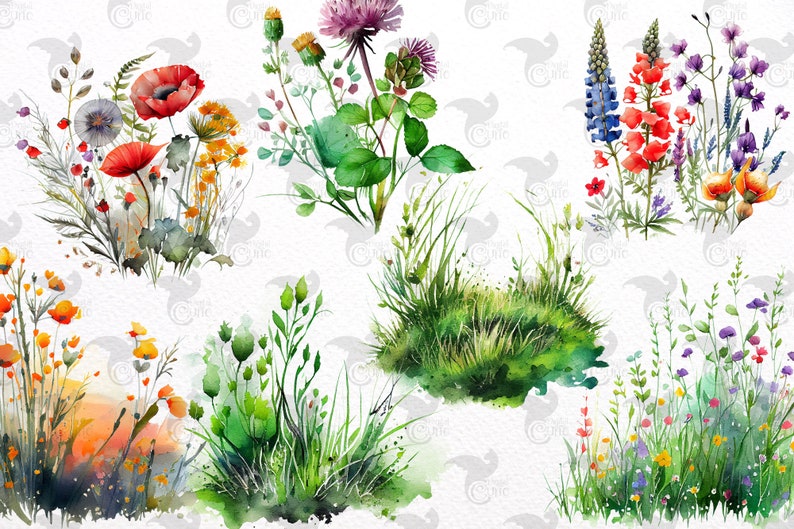 Watercolor Meadow Flowers Clipart - Spring Wildflower Floral PNG Format ...