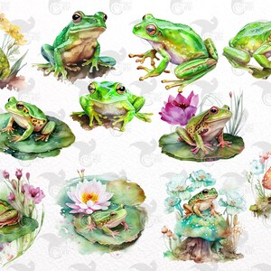 Watercolor Green Frogs Clipart - Cute Frog Floral Clip Art in PNG ...