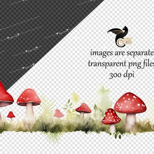 Watercolor Mushroom Borders Clipart – Seamless Botanical PNG (digital ...