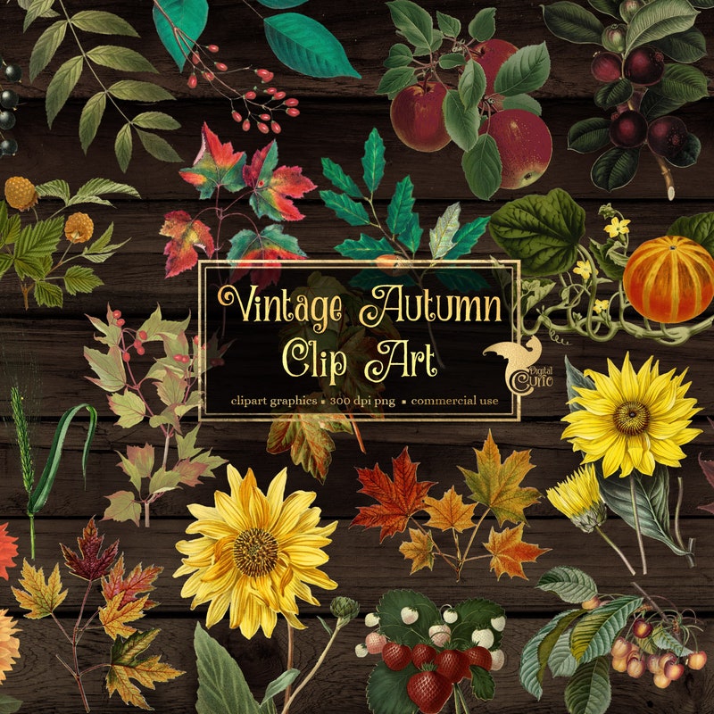 Autumn Clipart - Etsy