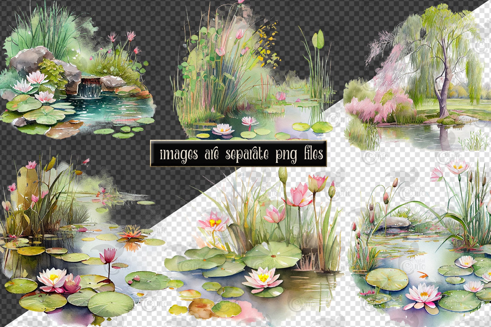 Watercolor Lily Pond Clipart Springtime Cute Lily Pad and Frog Pond PNG ...