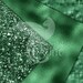 Luxury Emerald Digital Paper, Seamless Green Textures With Glitter and ...