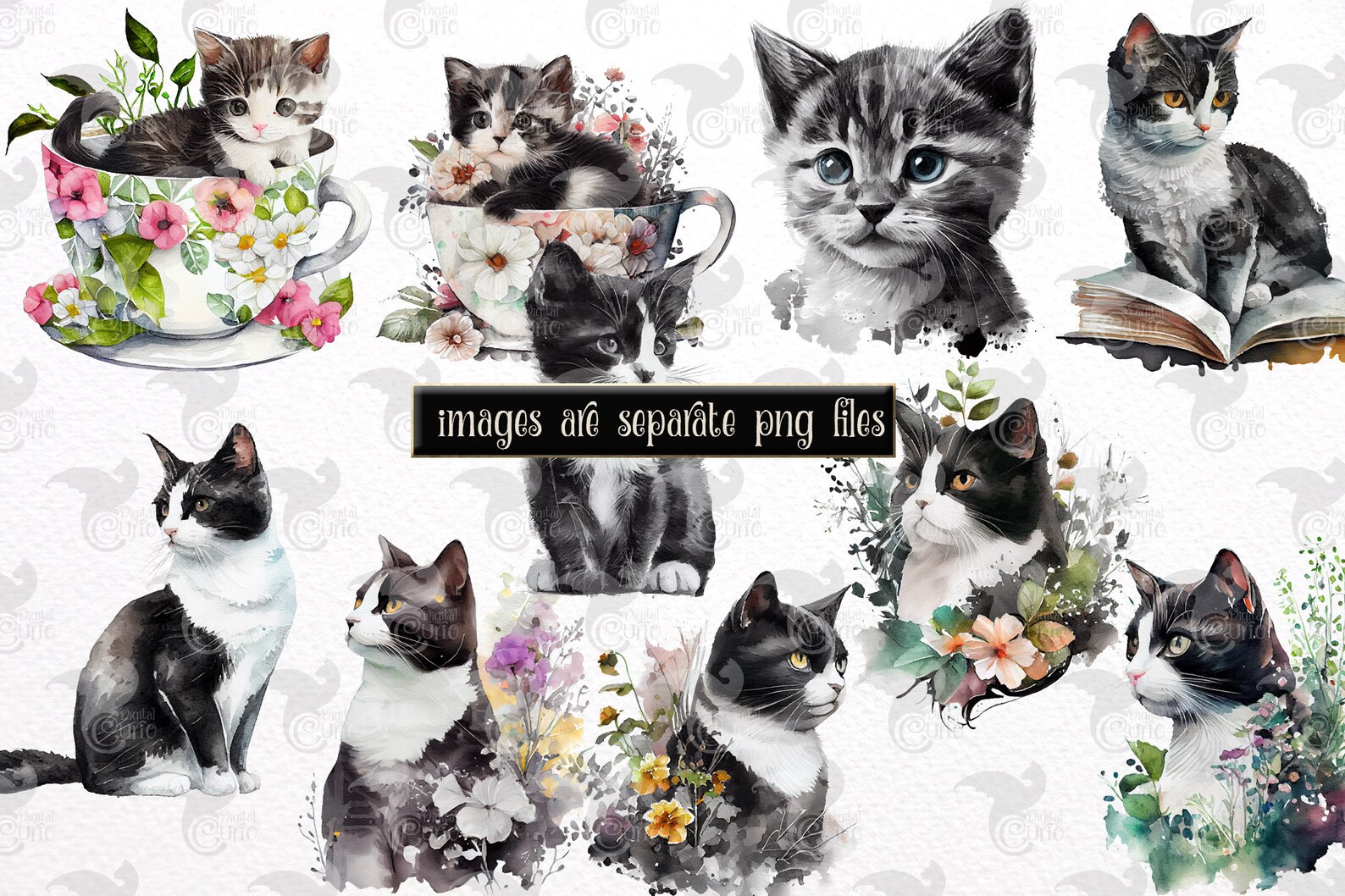 Watercolor Black and White Cats Clipart – Floral Kitten PNG (digital ...