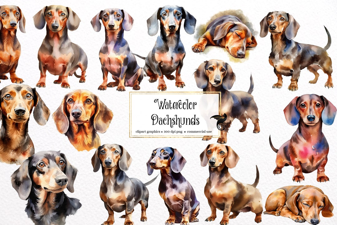 Watercolor Dachshund Clipart - Cute Dogs and Puppies PNG Format Instant ...