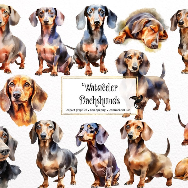 Dachshund Clipart - Etsy
