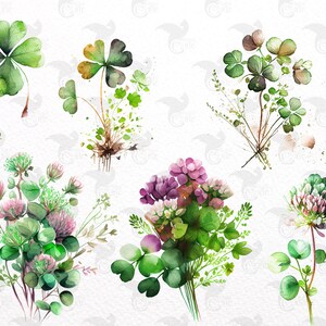 Watercolor Clover Clipart Floral Shamrock Wreaths PNG Format Instant ...