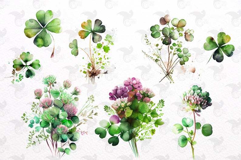 Watercolor Clover Clipart Floral Shamrock Wreaths PNG Format - Etsy