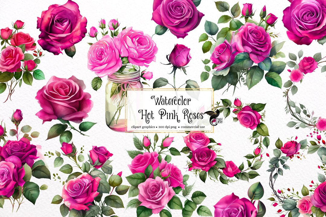Watercolor Hot Pink Roses Clipart - Bright Neon Fuchsia Roses and ...